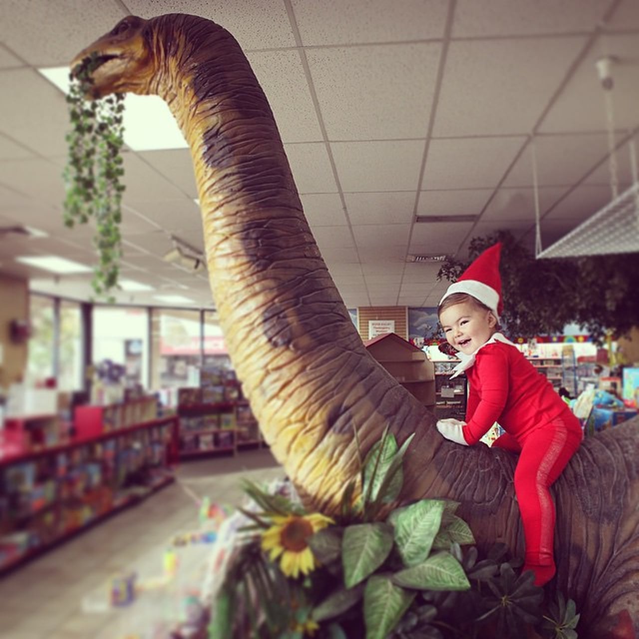 Life-Size Elf on the Shelf Photos | PS Family