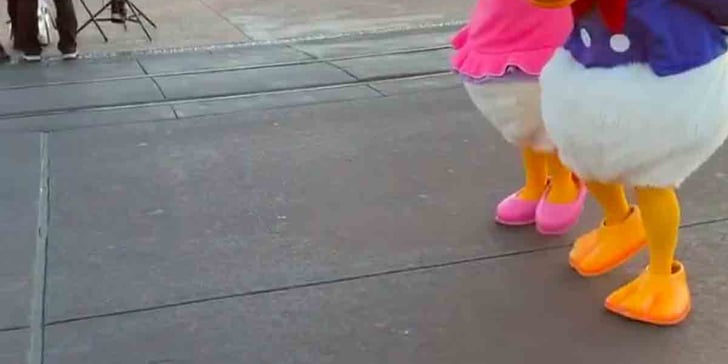 Donald and Daisy Duck Meet Real Ducks at Disney | POPSUGAR Pets