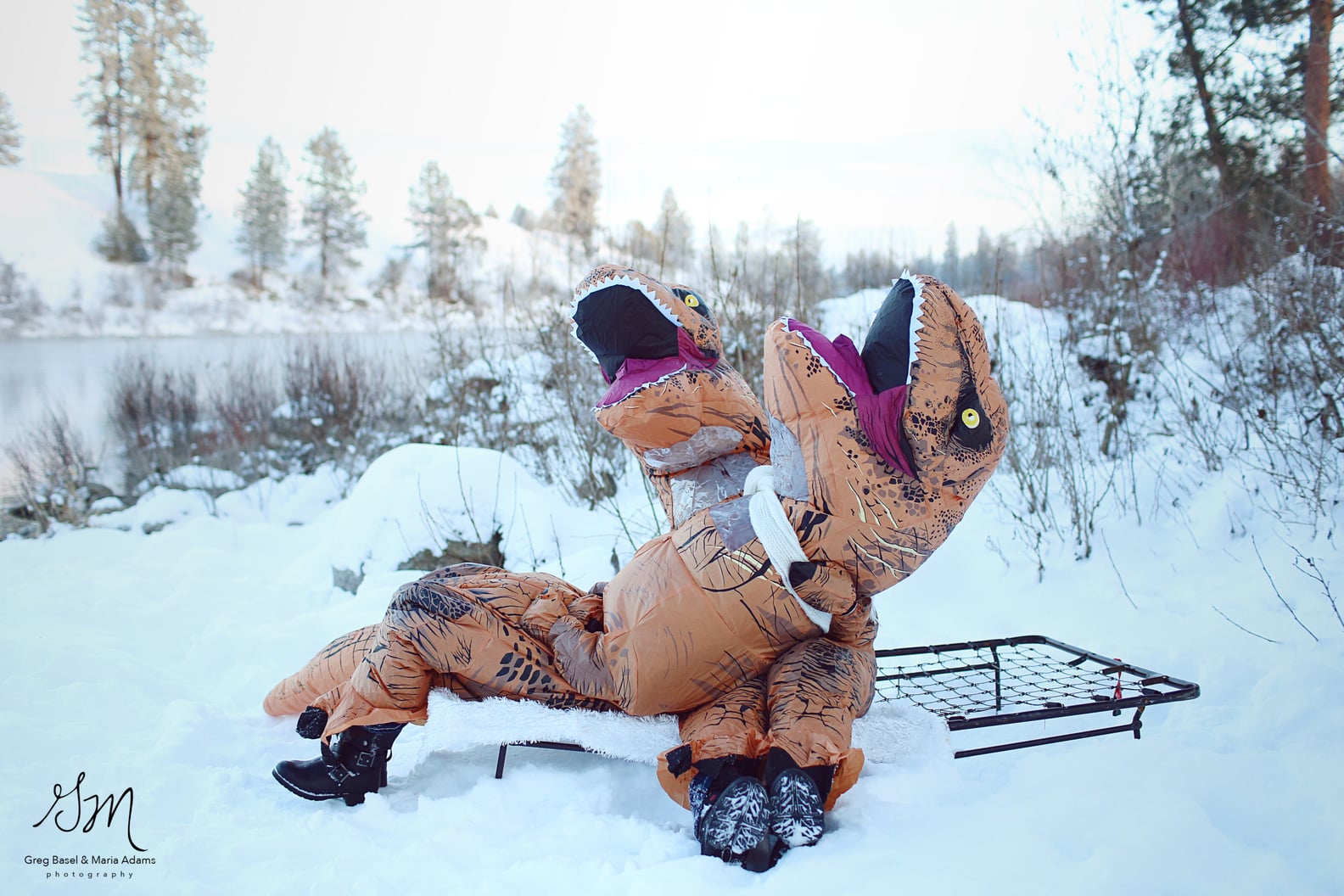 T-Rex Engagement Photo Shoot | PS Love