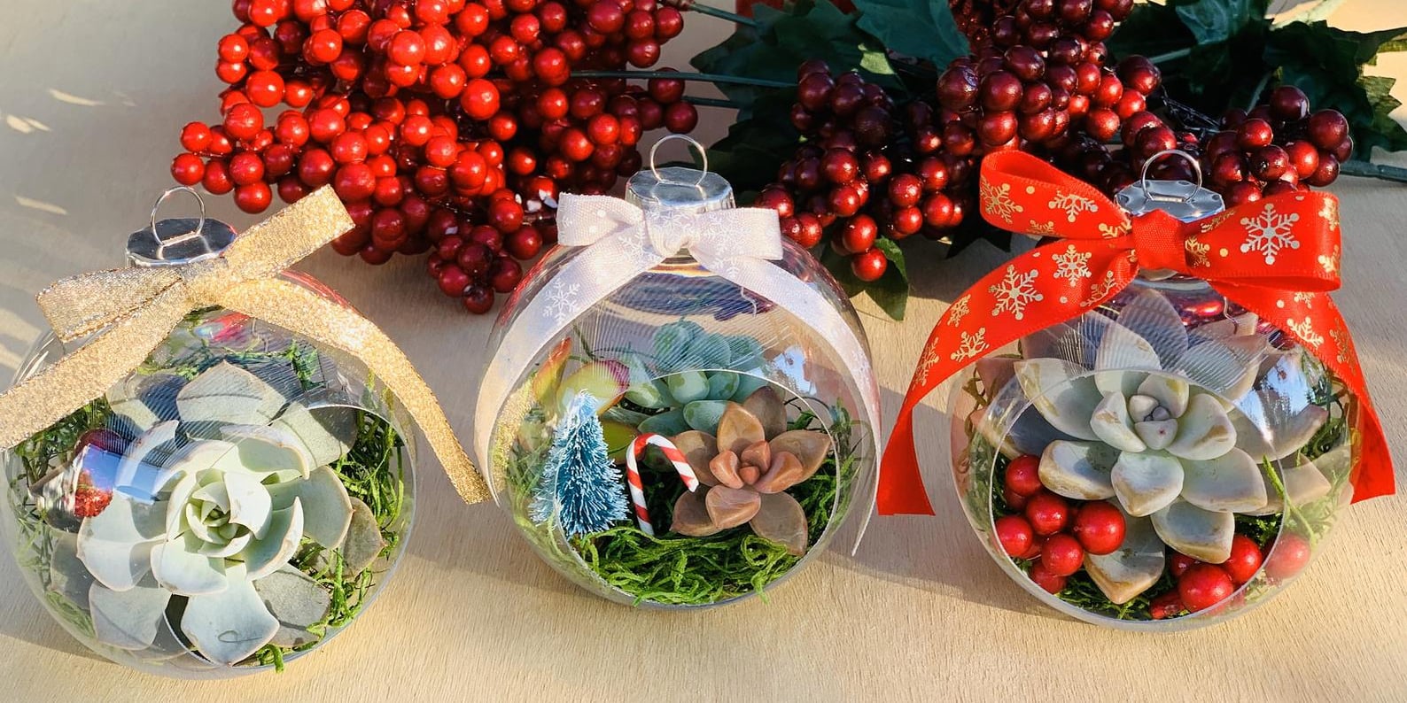 Shop Etsy's Plant Terrarium Christmas Ornaments | PS Home