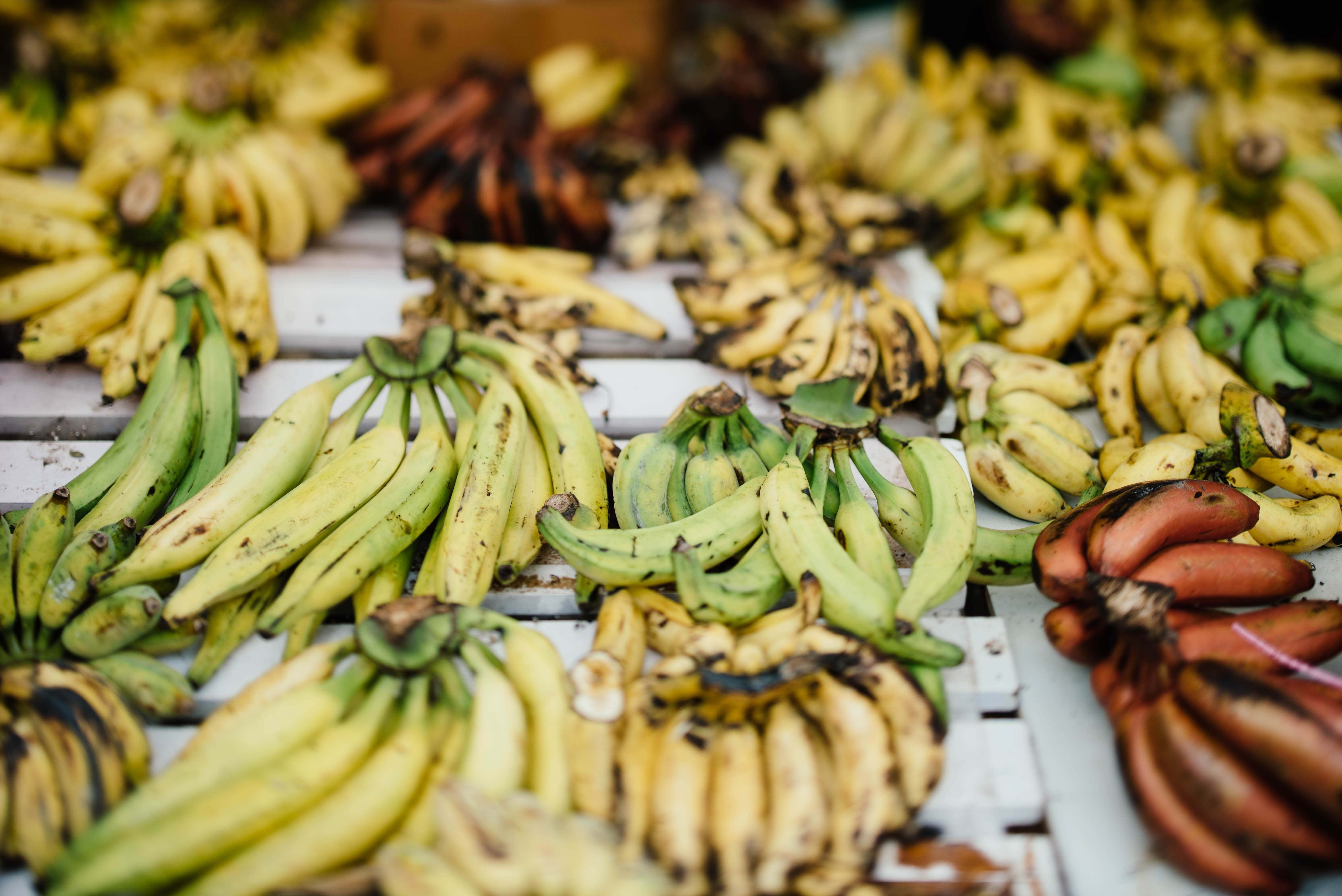 What Is Plantain Pasta? | PS Fitness