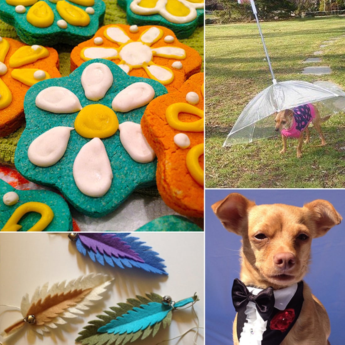The Best Pet Products | April 2014 | PS Pets