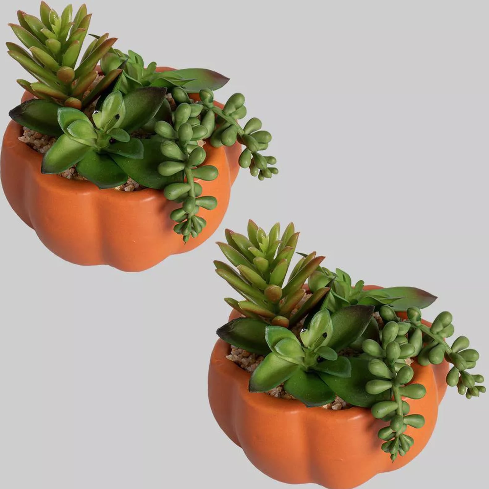 Target's $5 Succulent Pumpkins Are a Fall Must Have | PS Home