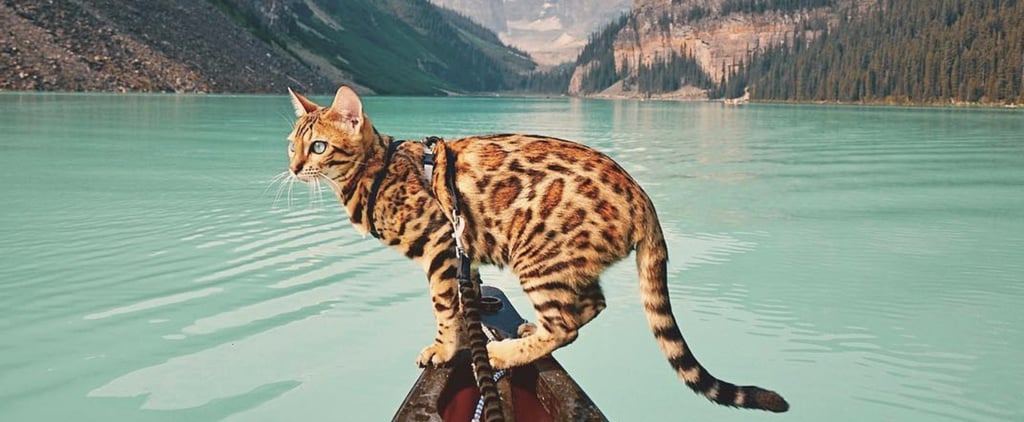 Fake Cliff in Brazil Pictures | POPSUGAR Smart Living