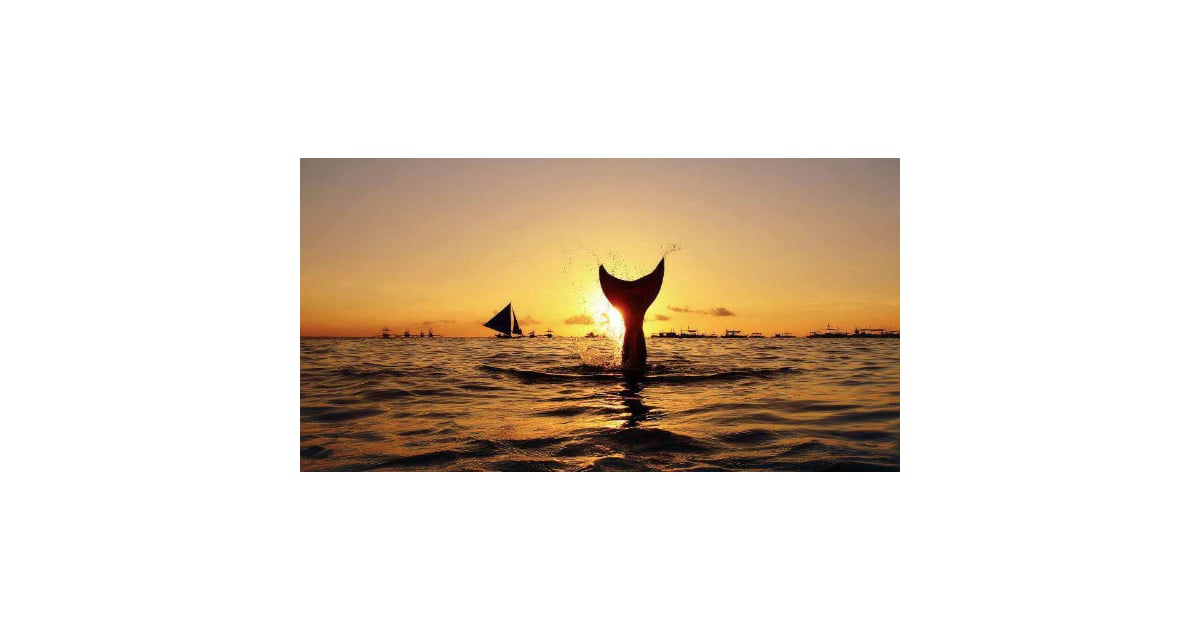 Mermaid Workout Fitness Trend | POPSUGAR Fitness