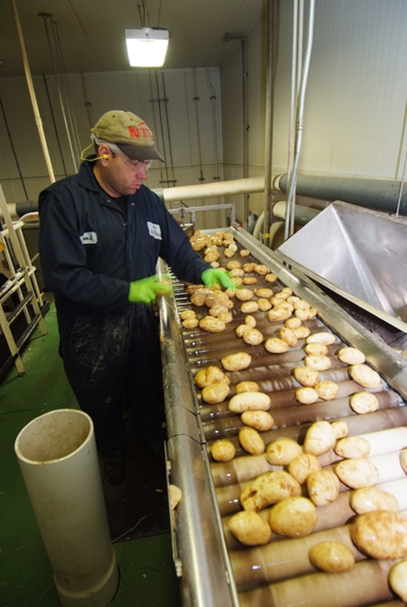 How Kettle Chips Are Made | PS Food