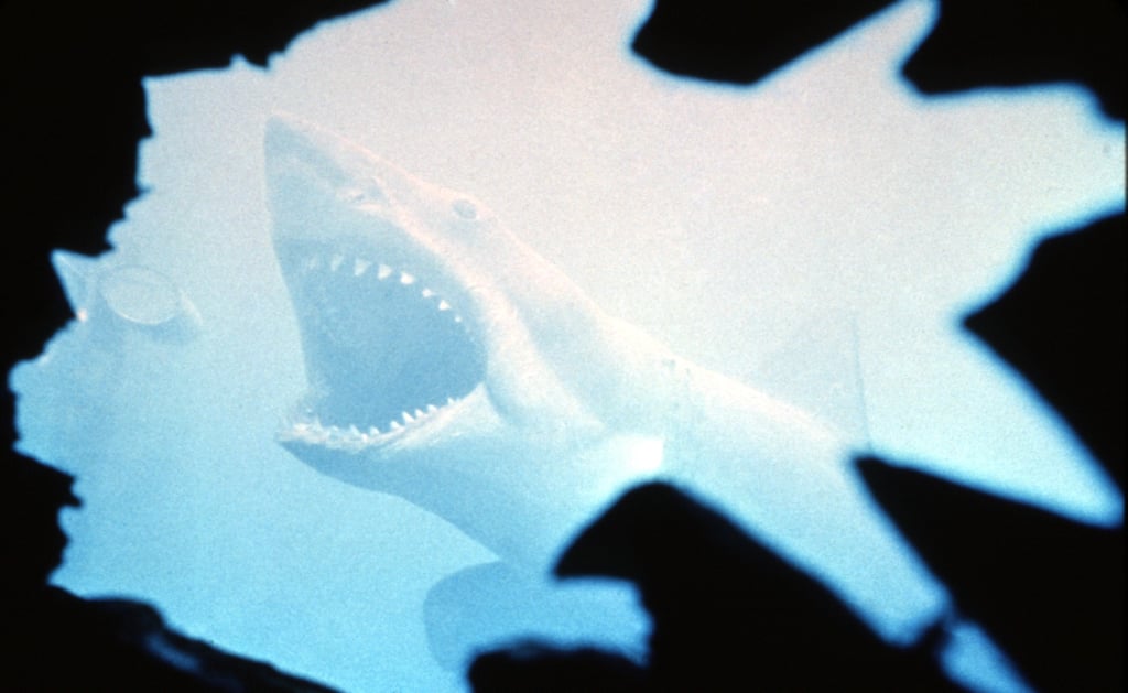 Jaws on the Water in Texas | POPSUGAR Smart Living