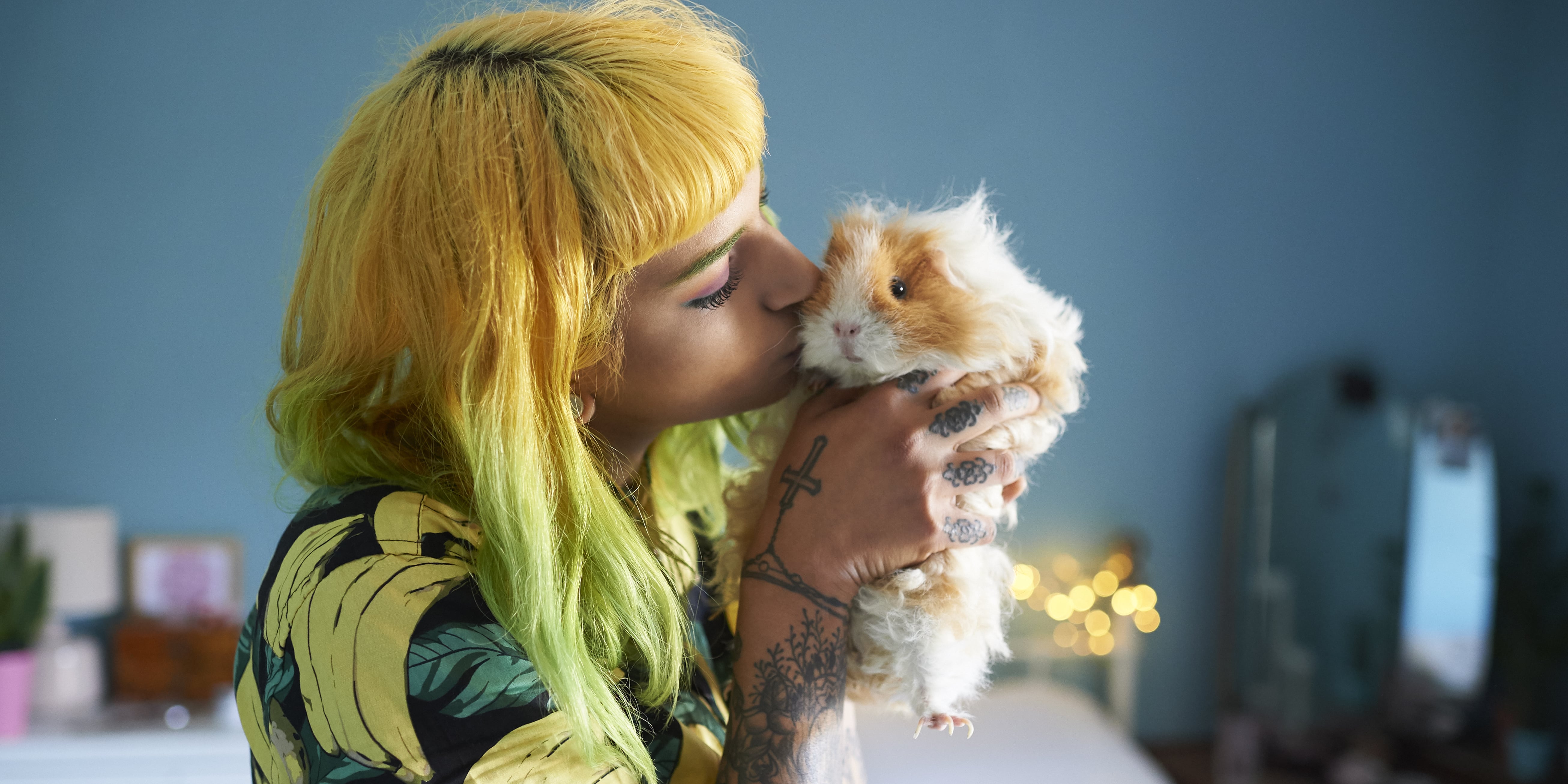 10 of the Easiest Small Pets to Take Care Of | PS Pets