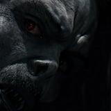 Who Is Morbius? All Your Questions, Answered | POPSUGAR Entertainment