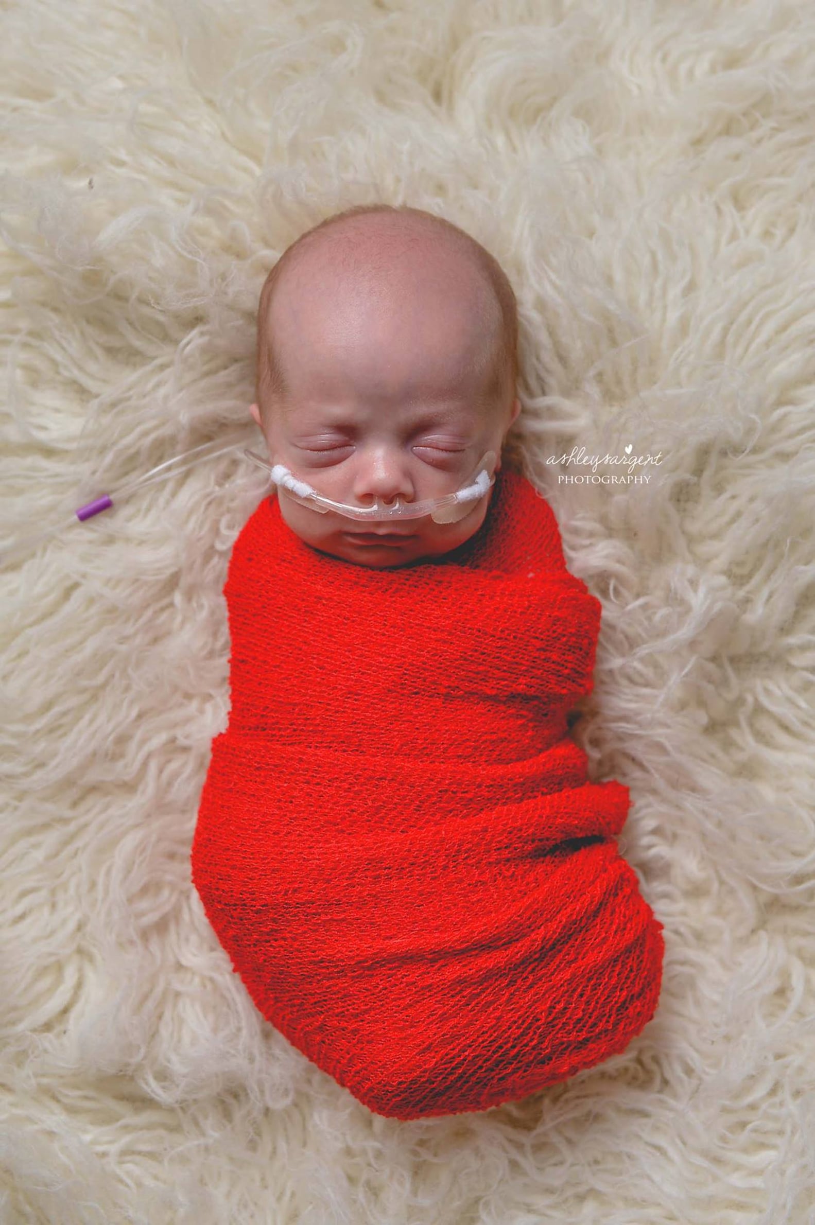 Rainbow Sextuplets Photo Shows Babies' Birth Order | PS Family