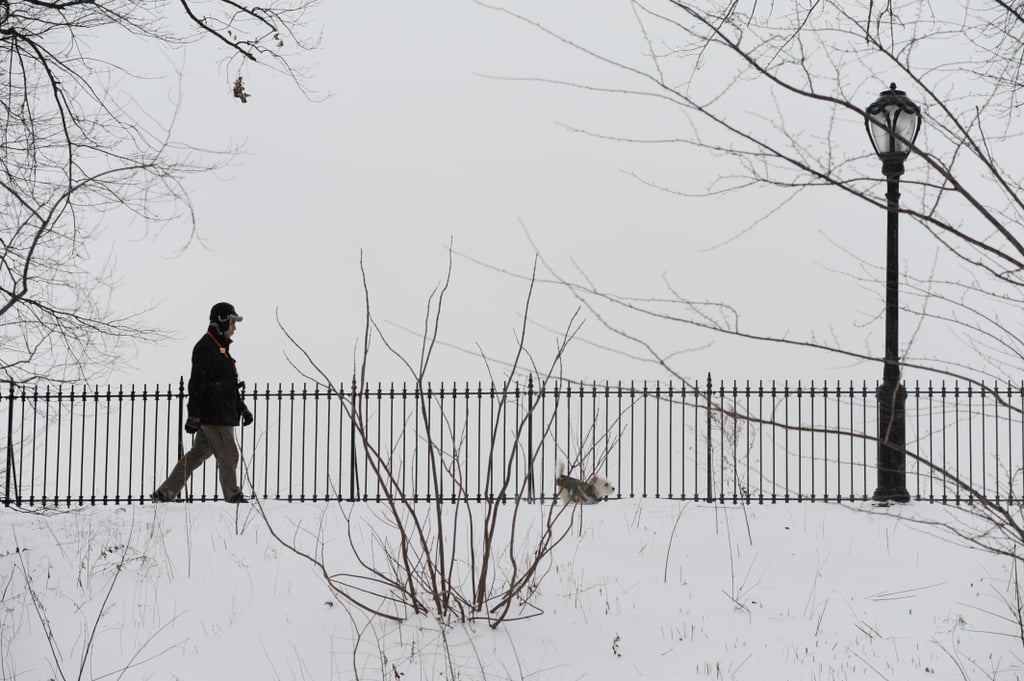 Winter Storm Juno January 2015 | Pictures | POPSUGAR Celebrity