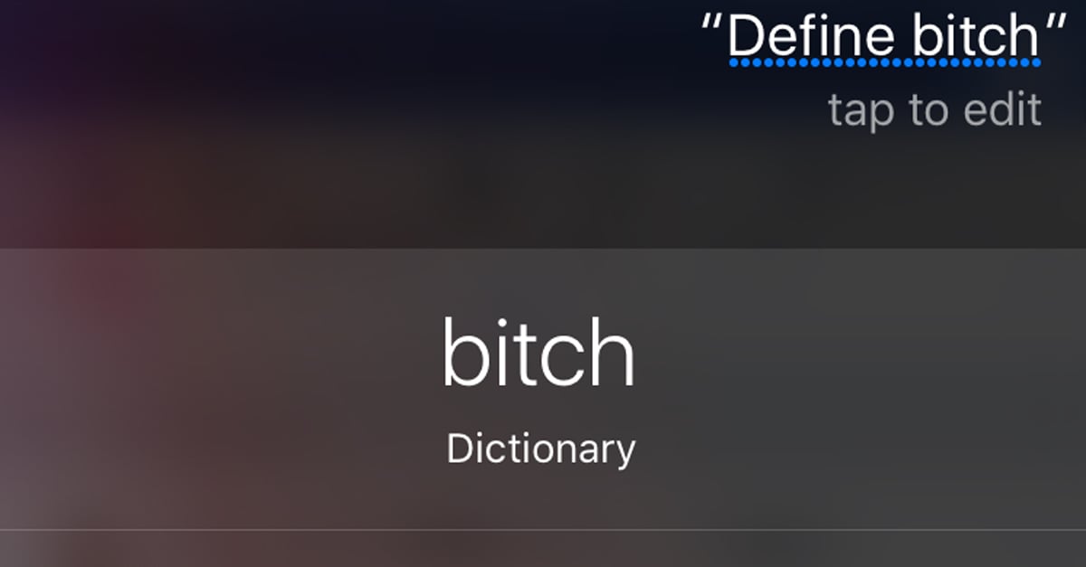 How Siri Defines the Word Bitch | PS Tech