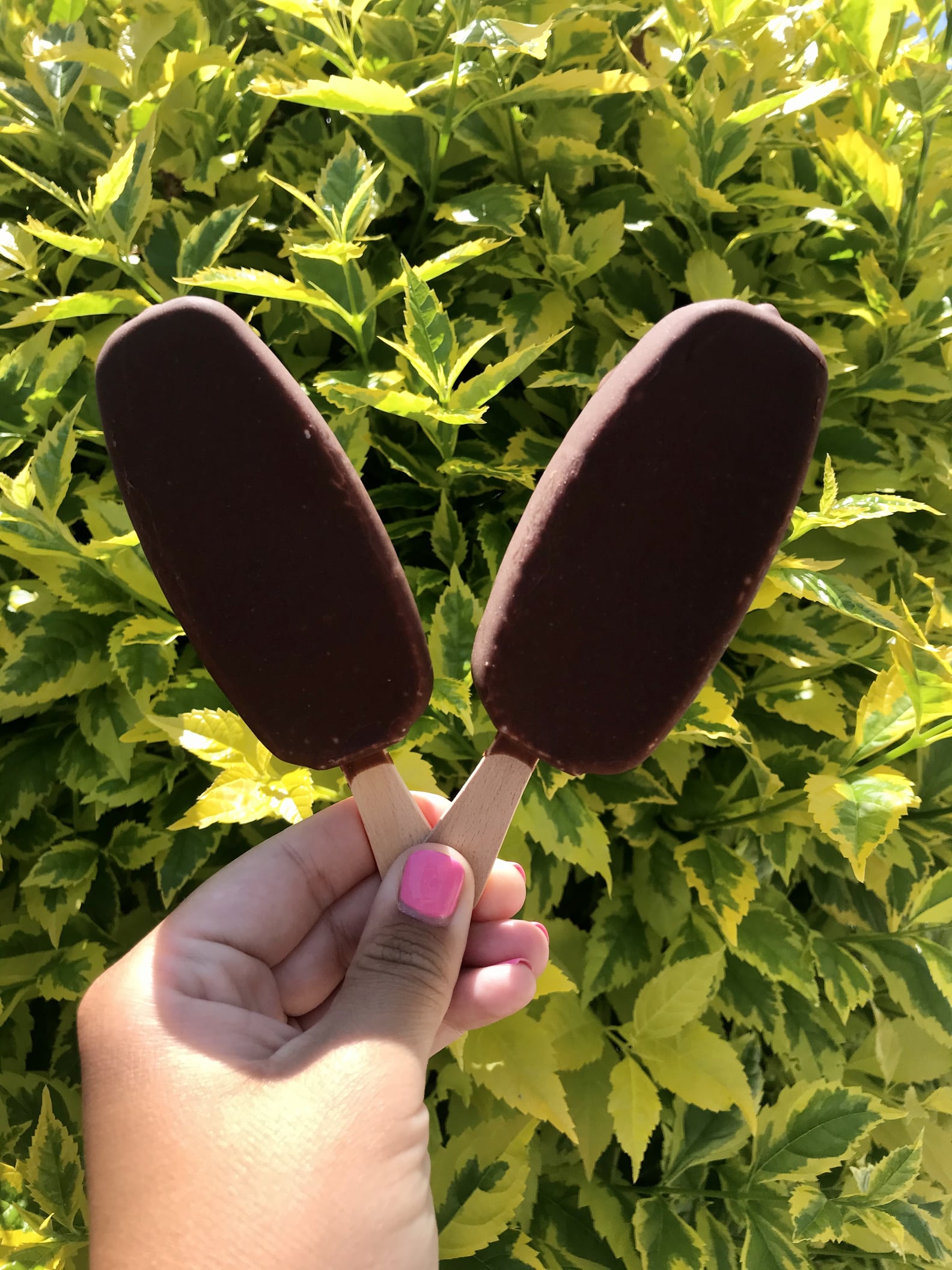 Mickey Premium Ice Cream Bar Recipe With Photos | PS Food