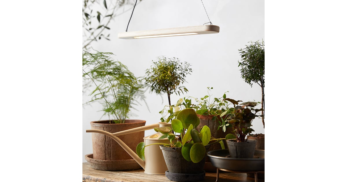 Grow Bar | Best Gardening Gifts 2019 | POPSUGAR Home UK Photo 46