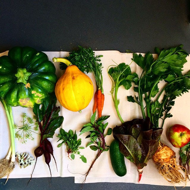 Best Chefs on Instagram | POPSUGAR Food