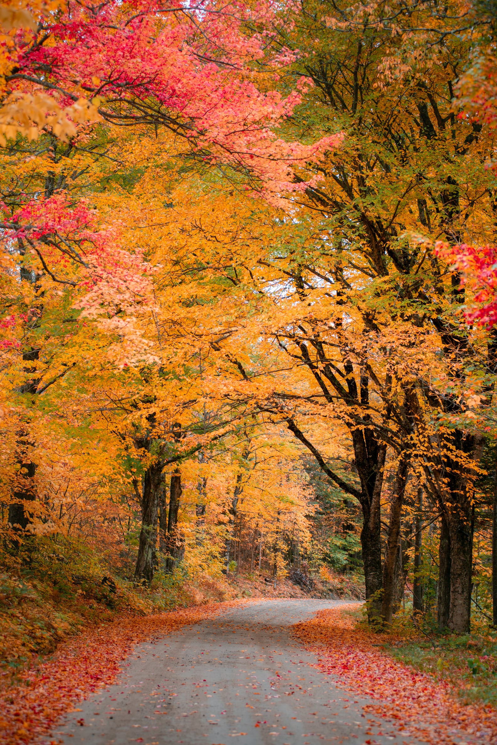 20 Fall Date Ideas You'll Love | PS Love