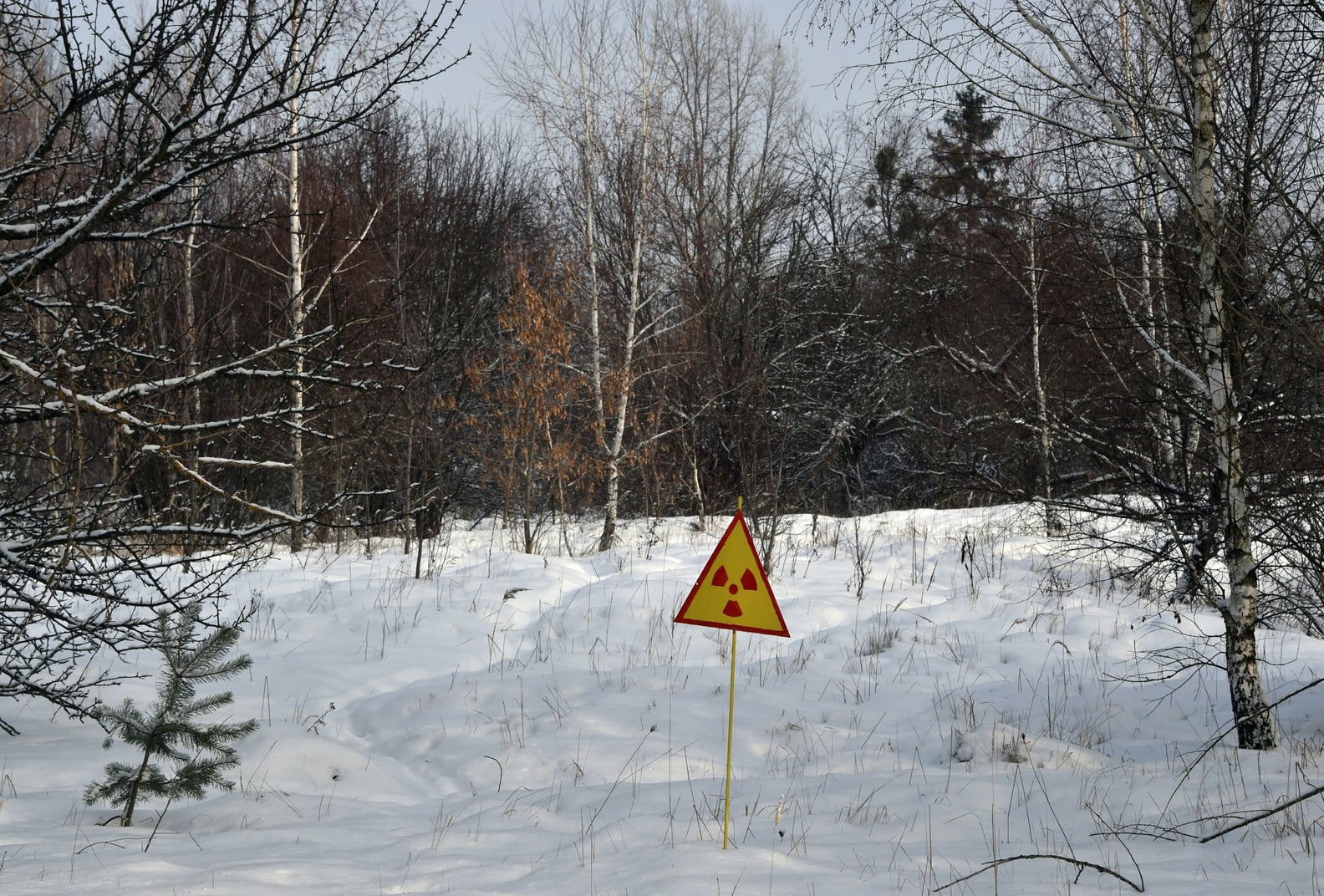 Chernobyl Pictures 2019 | POPSUGAR Entertainment
