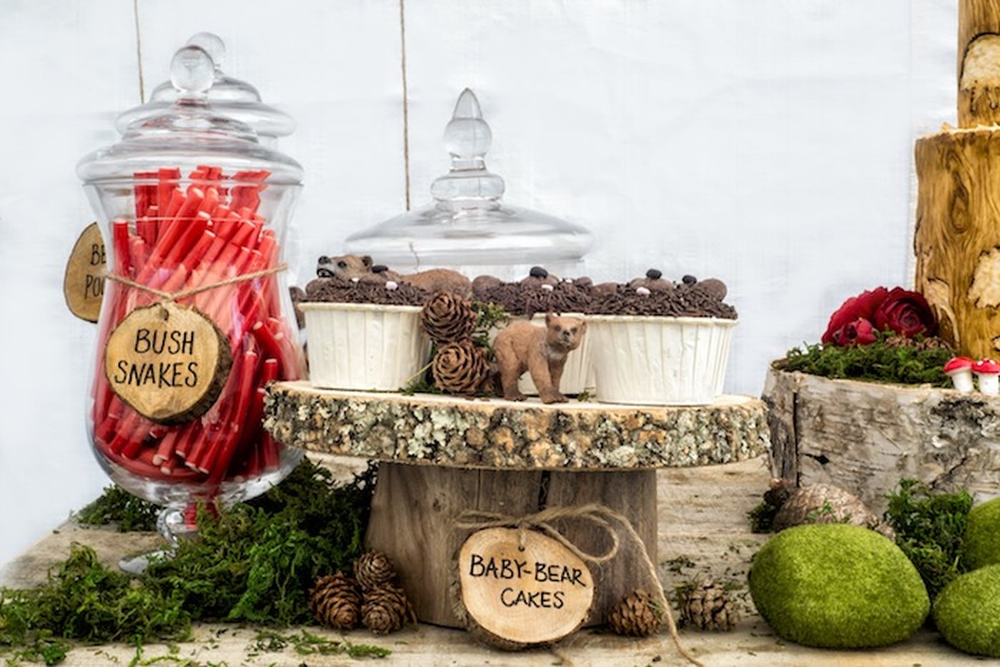 Wilderness-Themed Birthday Party | POPSUGAR Family
