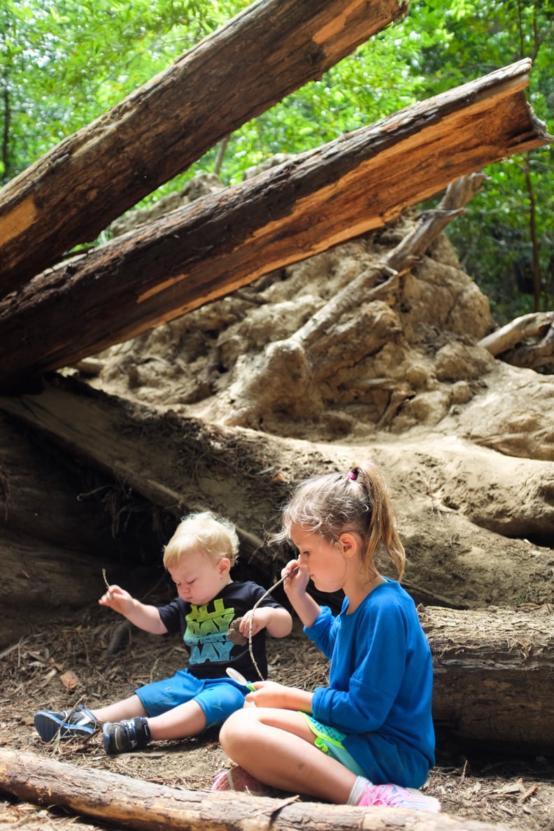 Outdoor Learning Activities | PS Family