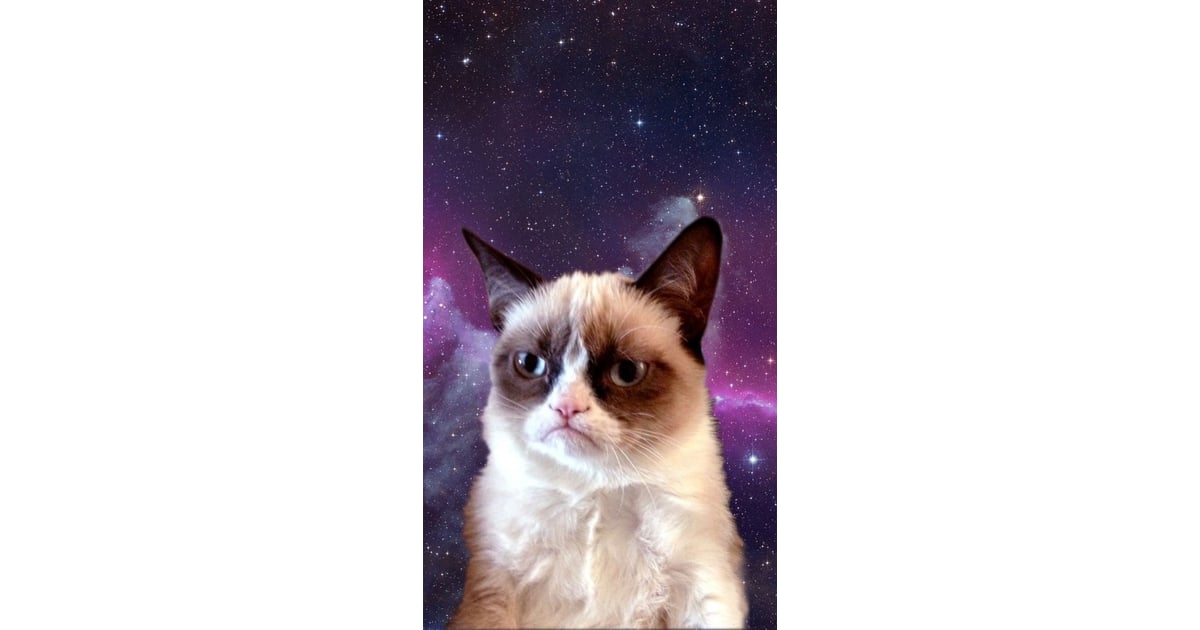 Grumpy Cat In Space Iphone Wallpaper Popsugar Tech Photo 24