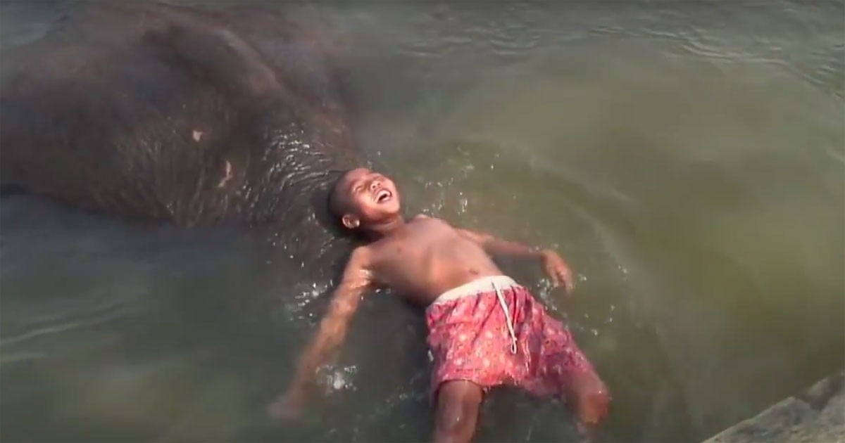 Best Documentaries For Kids | PS Family