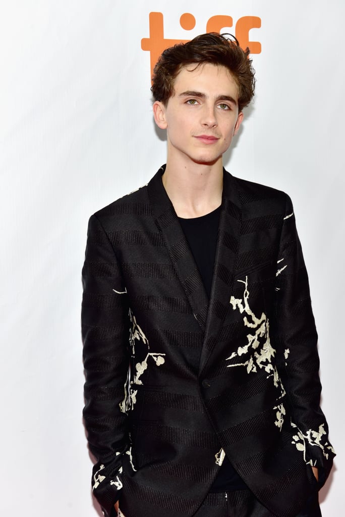 Hot Timothée Chalamet Pictures | POPSUGAR Celebrity UK Photo 4