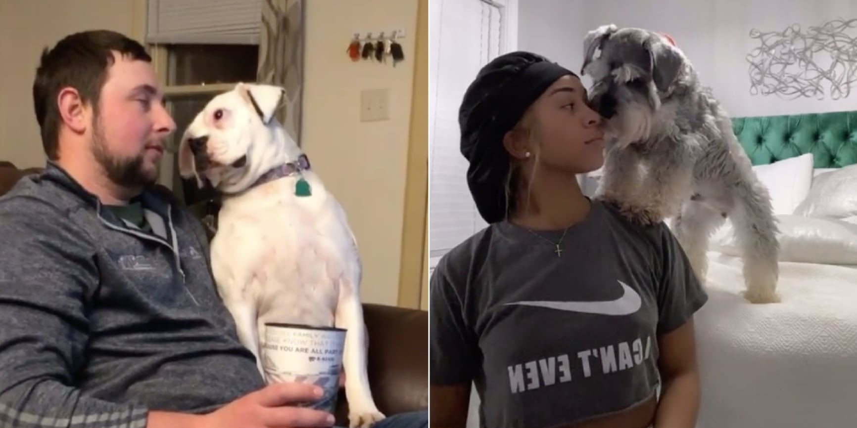 TikTok's Clingy Pet Challenge Funny Videos | POPSUGAR Pets