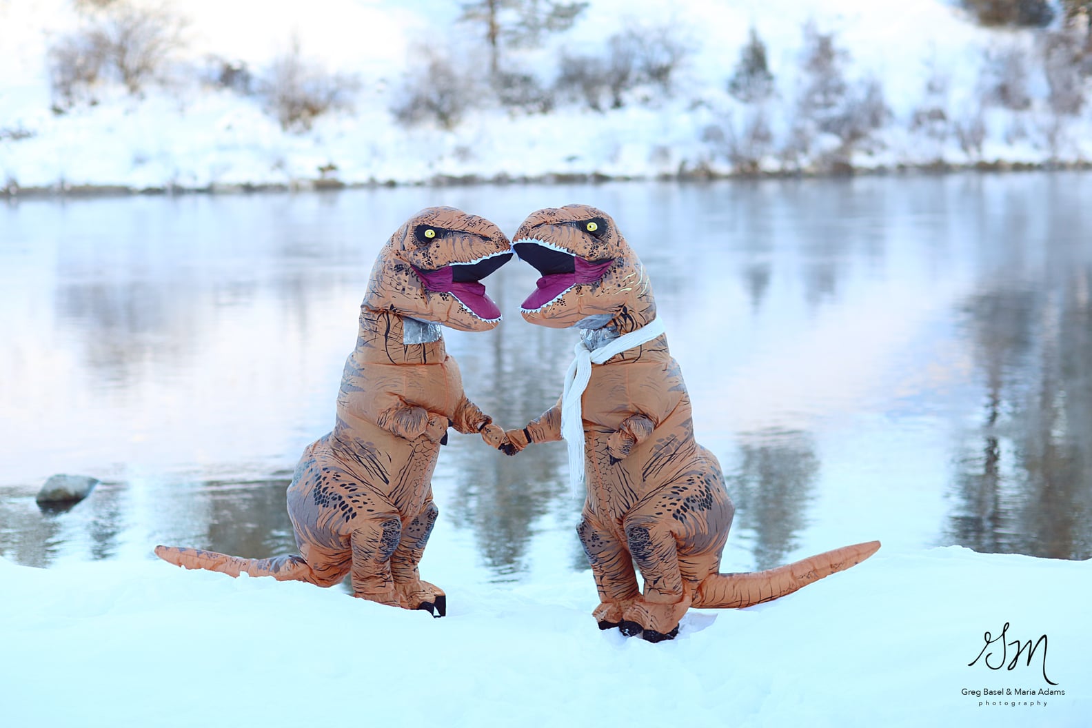 T-Rex Engagement Photo Shoot | POPSUGAR Love & Sex