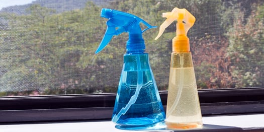 DIY Window Screen Cleaner | PS Smart Living