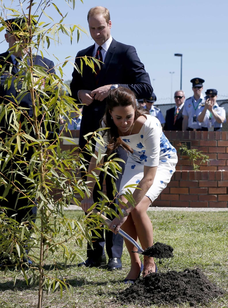 Kate Middleton Planting Trees | Pictures | PS Celebrity
