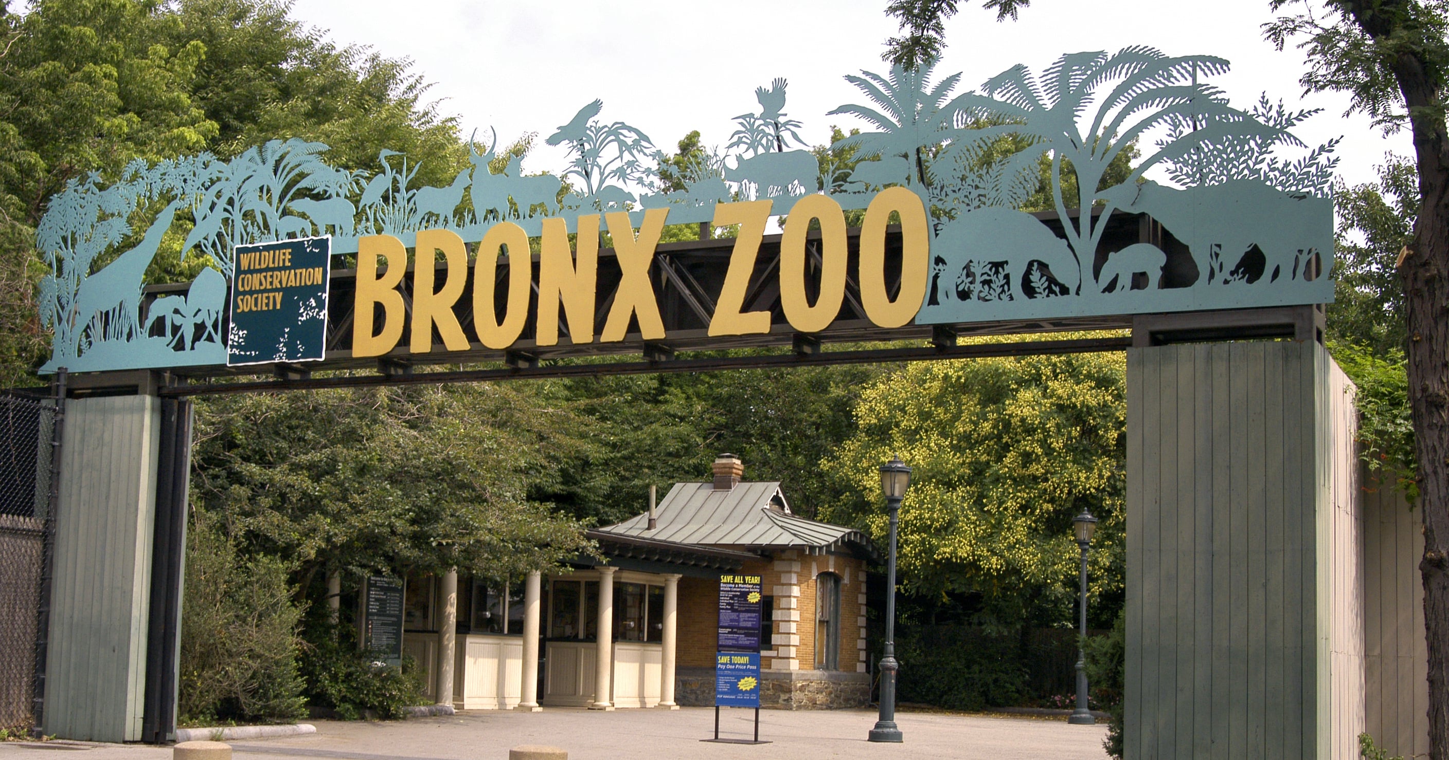 Where to Watch The Zoo Online | POPSUGAR Pets