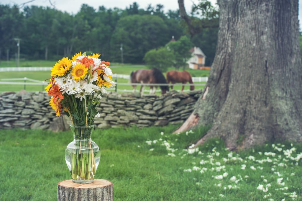 Farm Wedding | POPSUGAR Love & Sex
