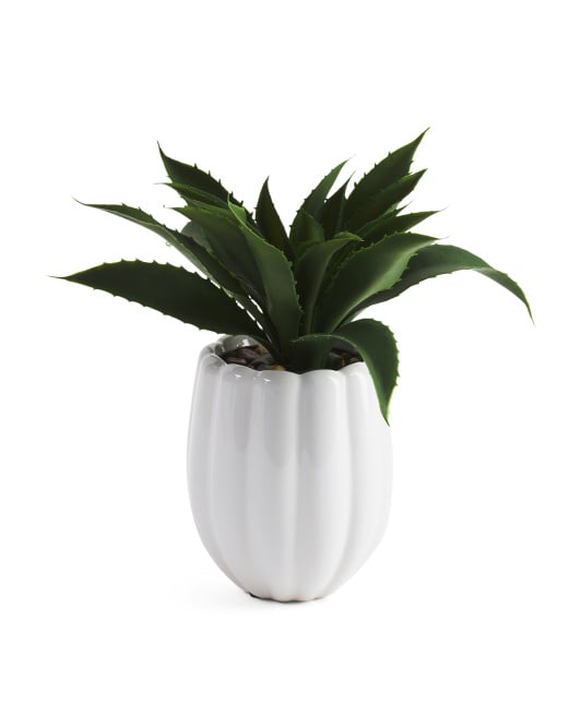 Faux Agave in Pot | Best Home Decor From TJ Maxx 2019 | POPSUGAR Home ...