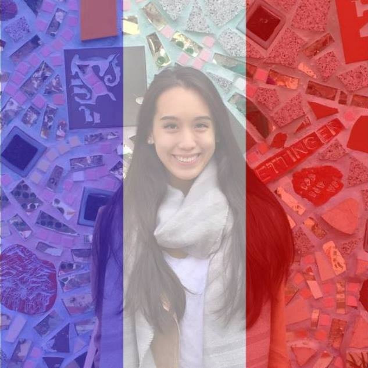 How to Change Your Facebook Profile Picture to French Flag | PS Tech