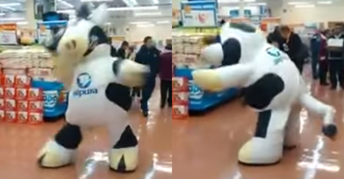 Supermarket Cow Mascot Dancing | Video | POPSUGAR Celebrity