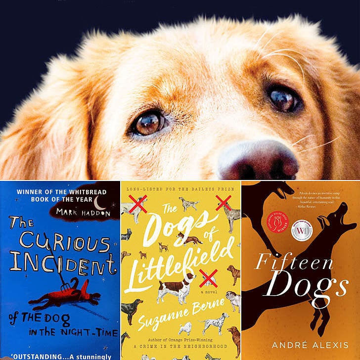 Books For Dog-Lovers | PS Pets