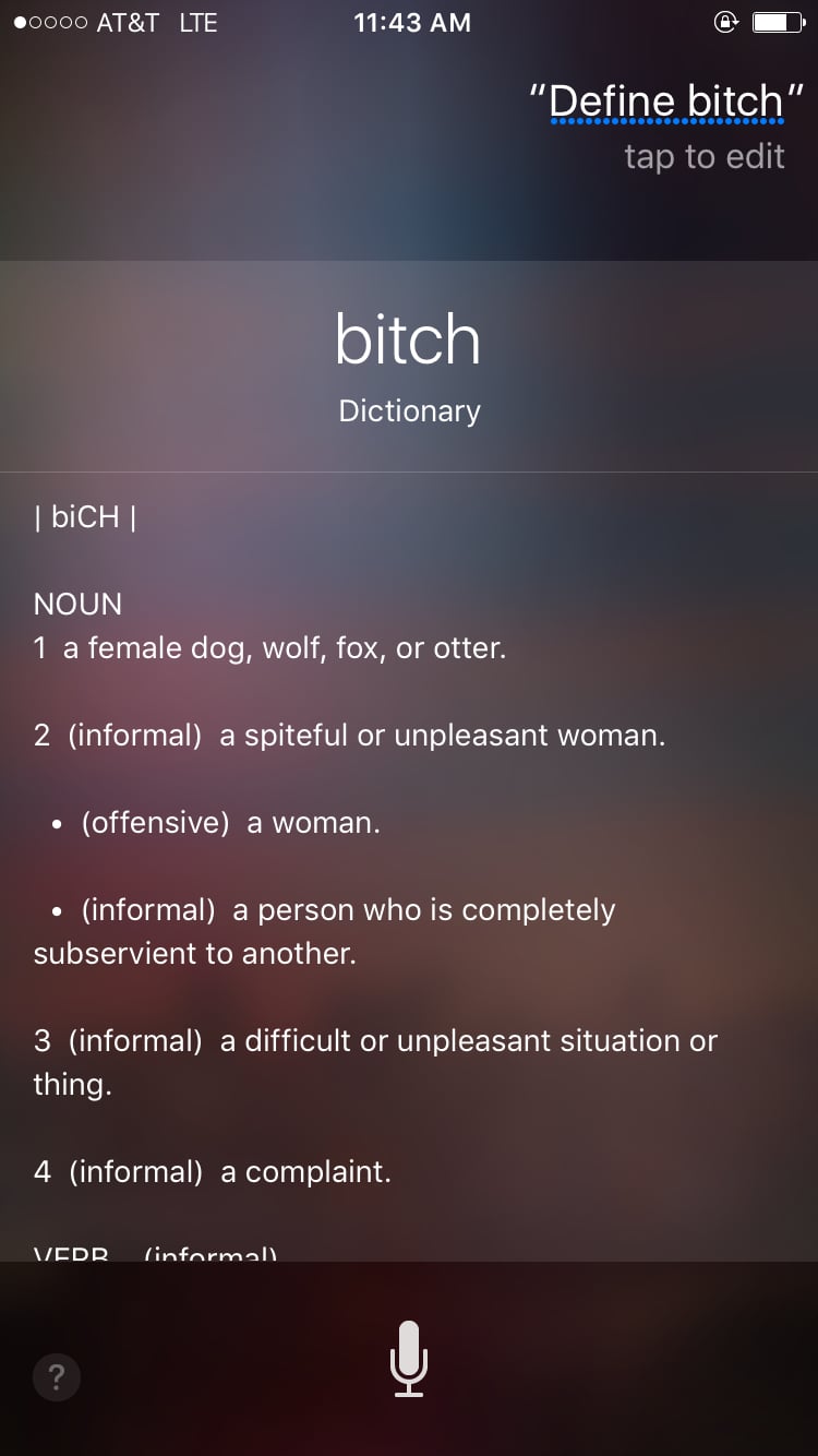 How Siri Defines the Word Bitch | POPSUGAR Tech