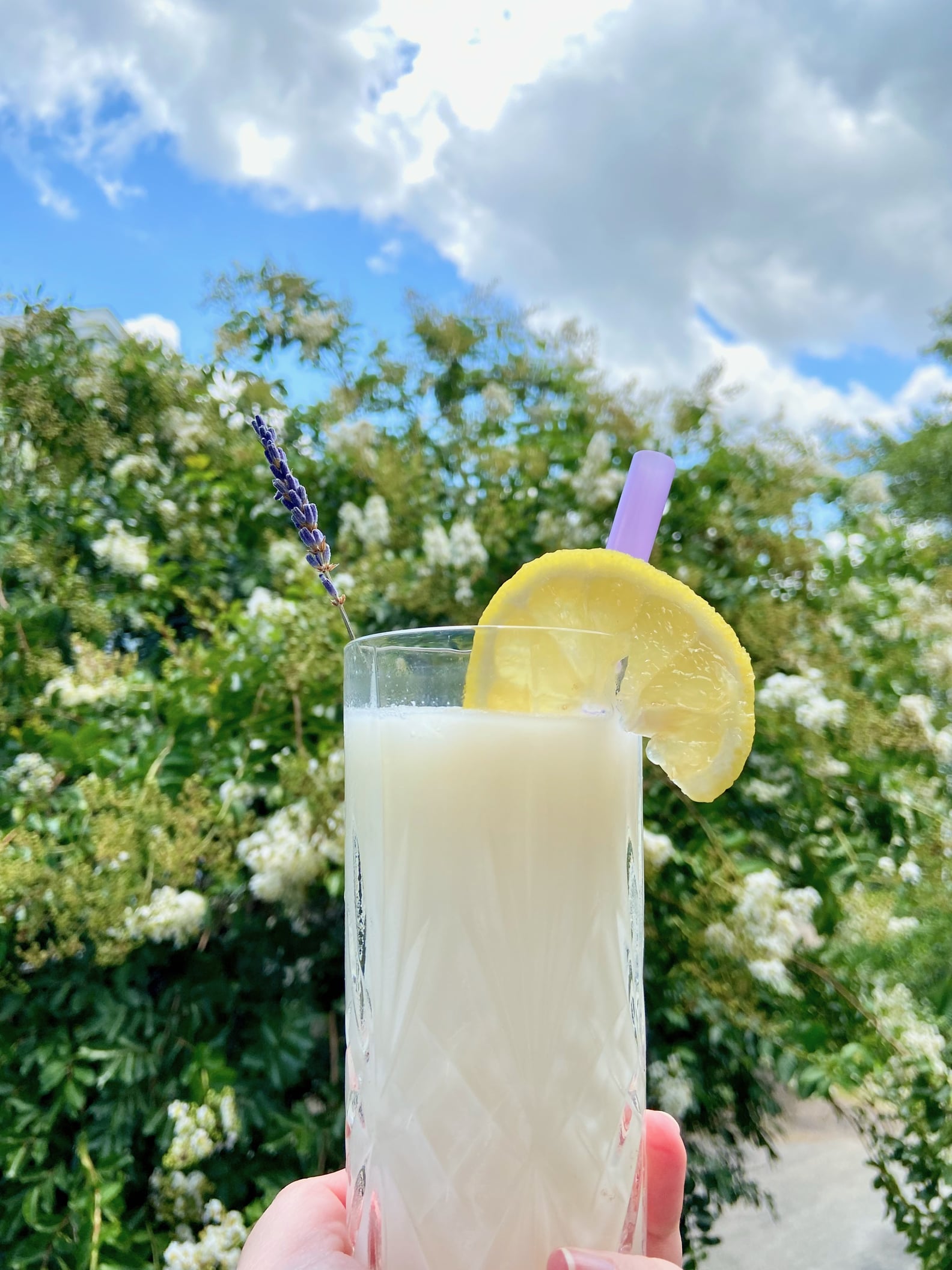 TikTok's Creamy Lemonade Recipe With Photos | PS Food