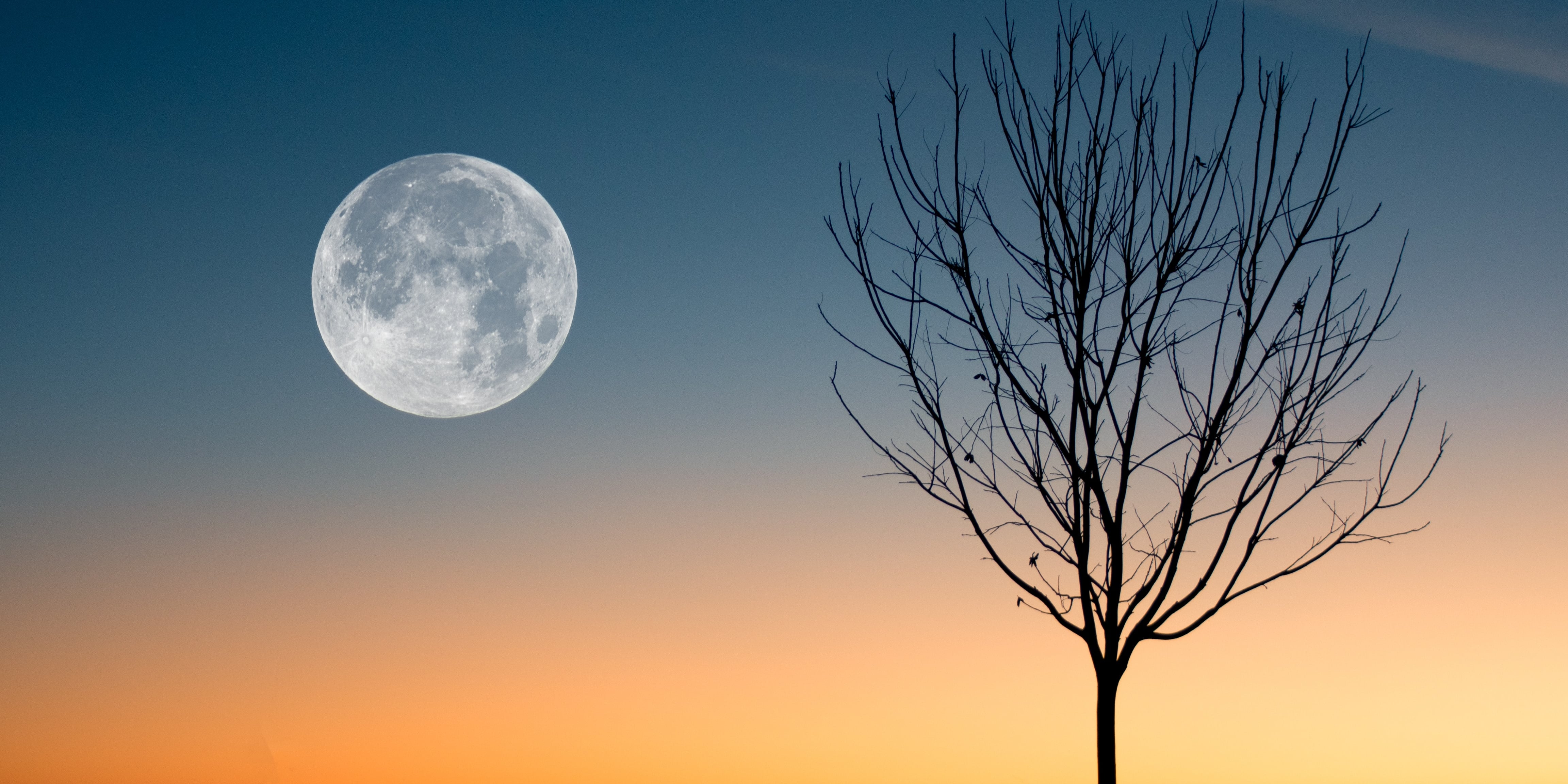 When to Watch Every Full Moon in 2021 | PS Smart Living