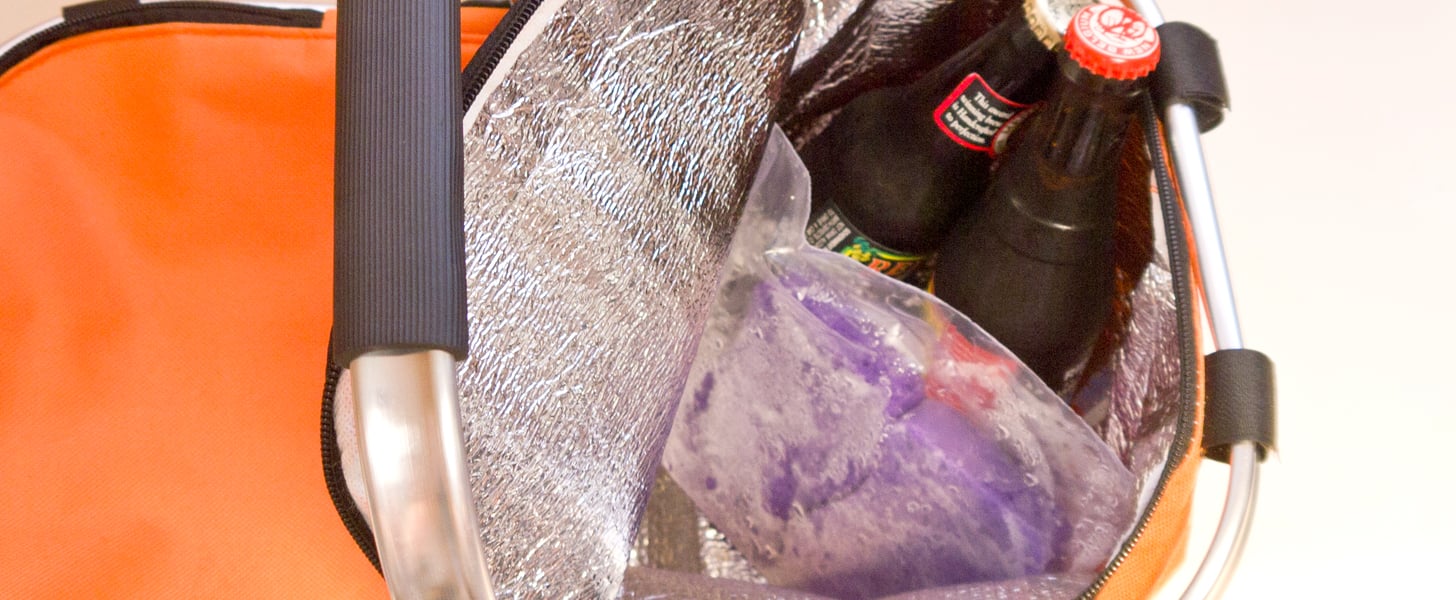 Sponge Ice Packs | PS Smart Living