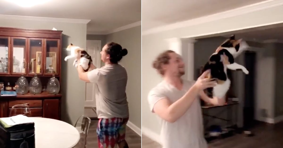 Man Helps Cat Catch a Moth | Video | PS Pets
