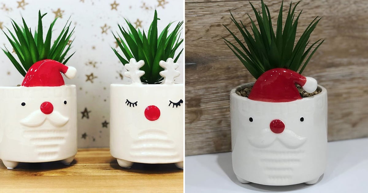 Target Australia Is Selling Adorable Christmas Succulents | PS Home