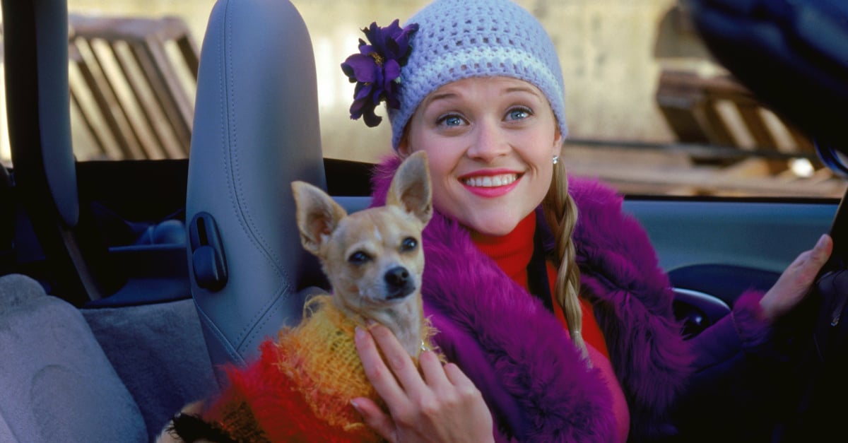 Signs You Like Dogs More Than People | PS Pets