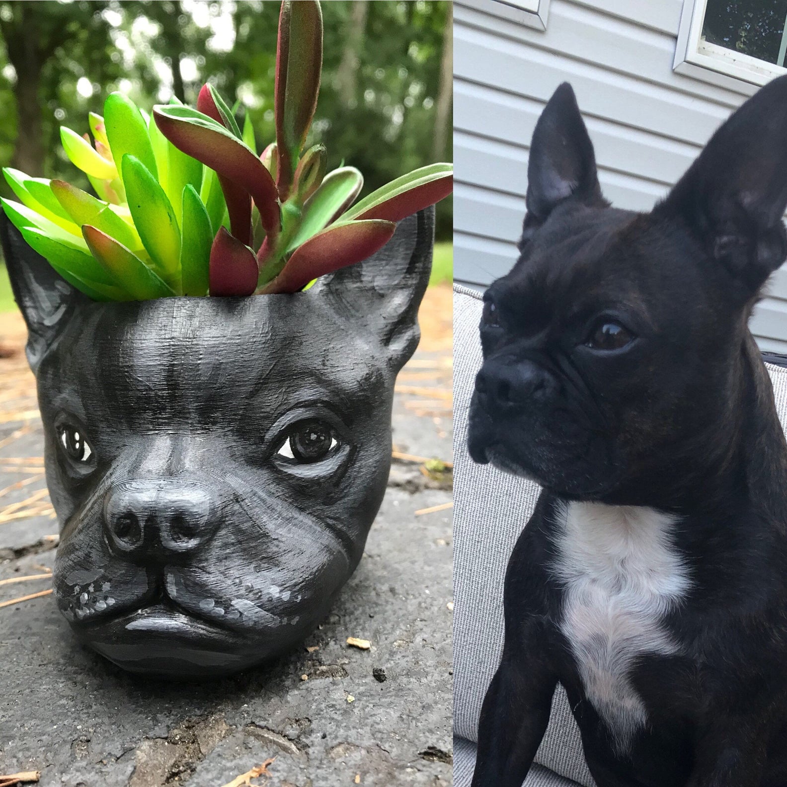 Get a Custom Painted Planter With Your Dog's Face on Etsy | PS Pets