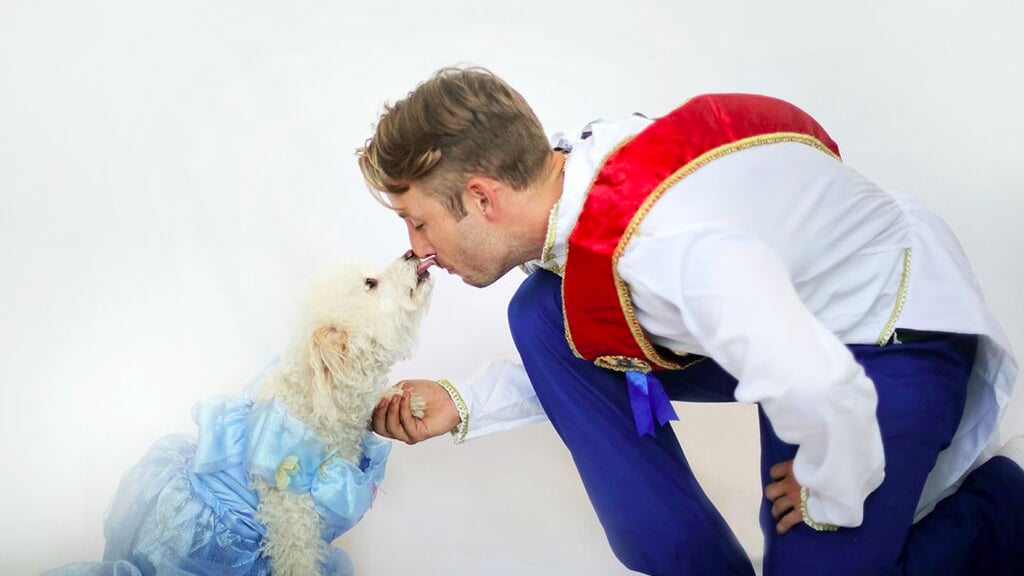 Dogs Dressed as Disney Princesses | POPSUGAR Pets