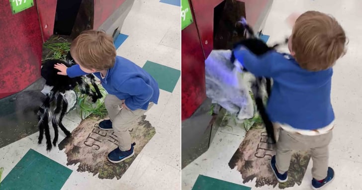 Kid Attacking a Spider in Spirit Halloween | Video | POPSUGAR UK Parenting