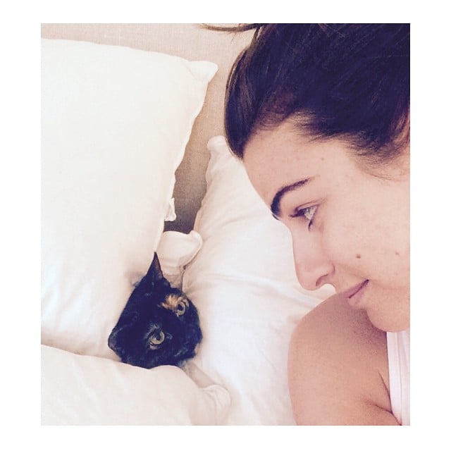 Celebrities and Their Pets | POPSUGAR Pets