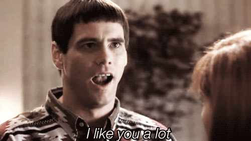 Dumb and Dumber GIFs | PS Entertainment