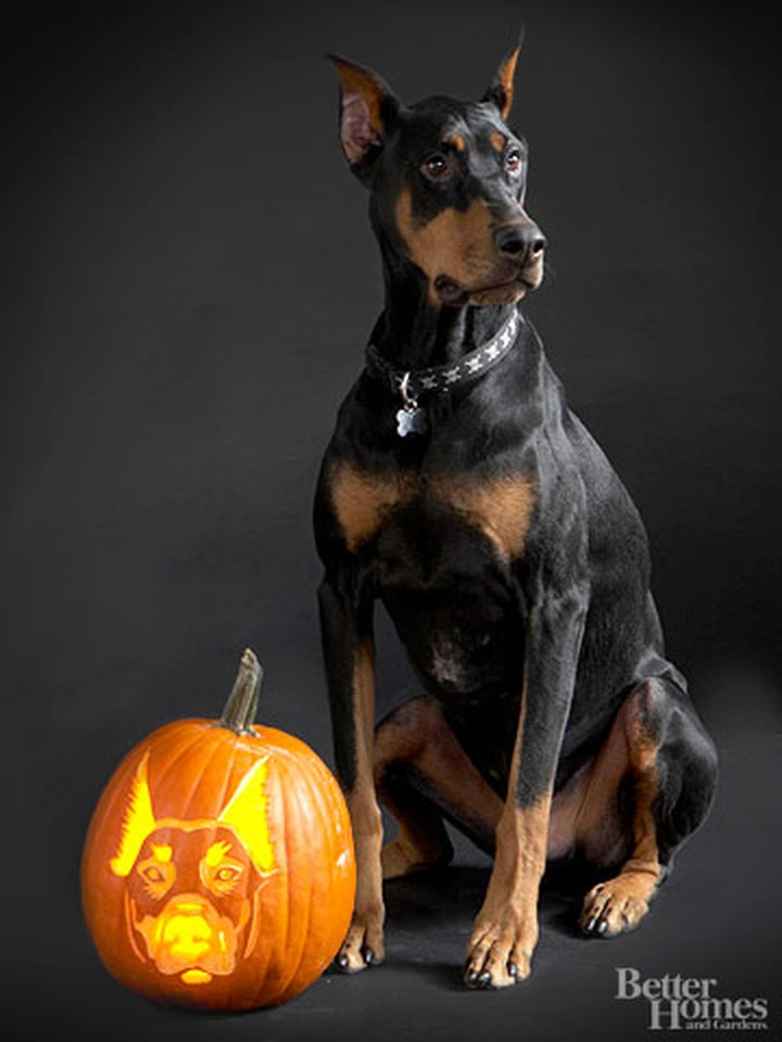 Downloadable Dog Breed Pumpkin Stencils | PS Pets