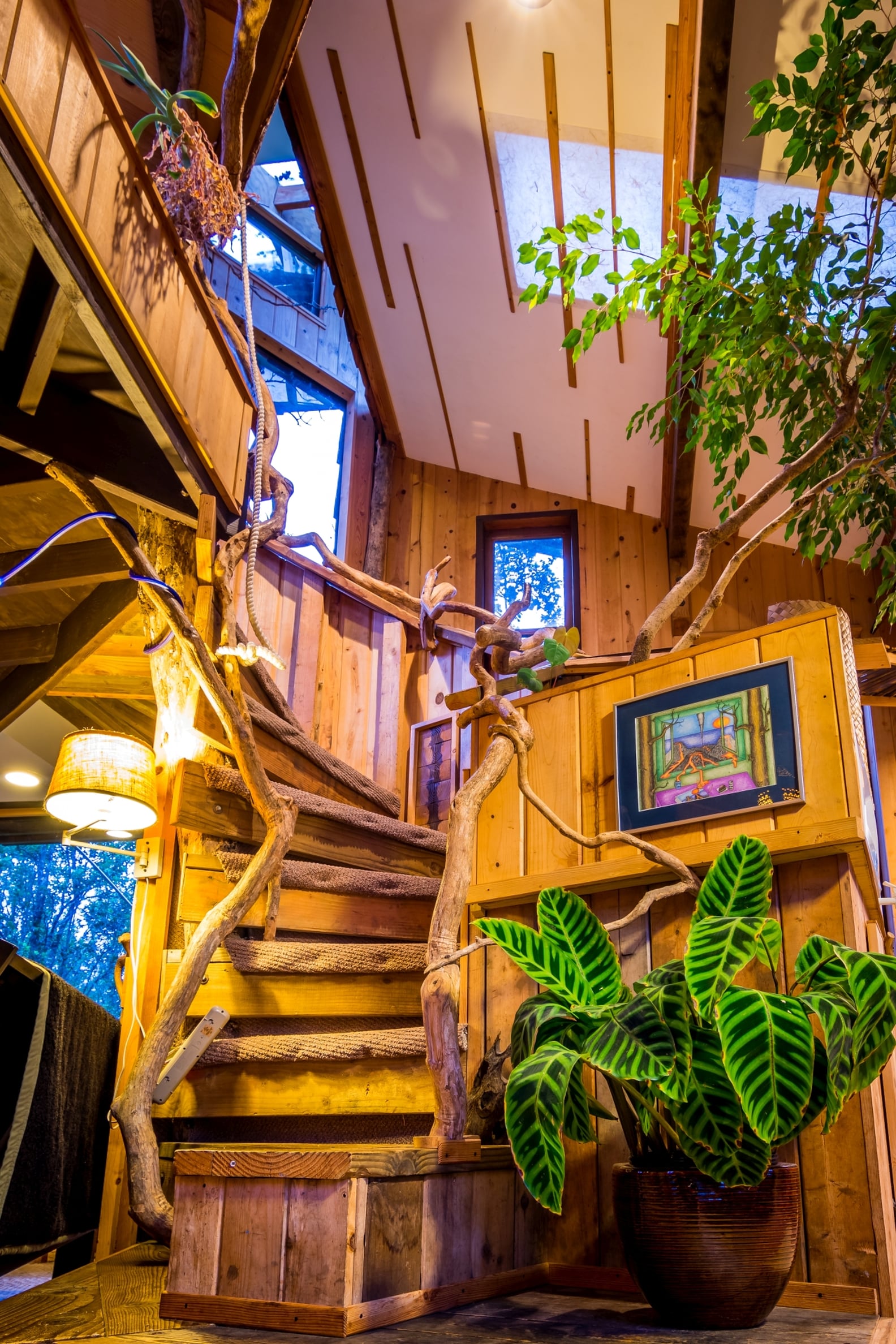 Volcano Tree House Rental in Hawaii | PS Smart Living